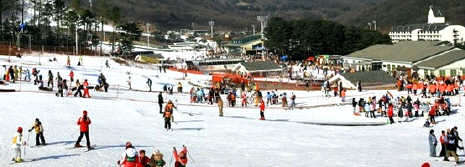 Happy KOREA WINTER~! Fun Korea Ski Resort~! SEOUL SKI TOUR = Enjoy Ski ...